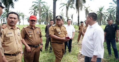 Pasar Natar Revitalisasi, Bup Lamsel Siapkan Penampungan